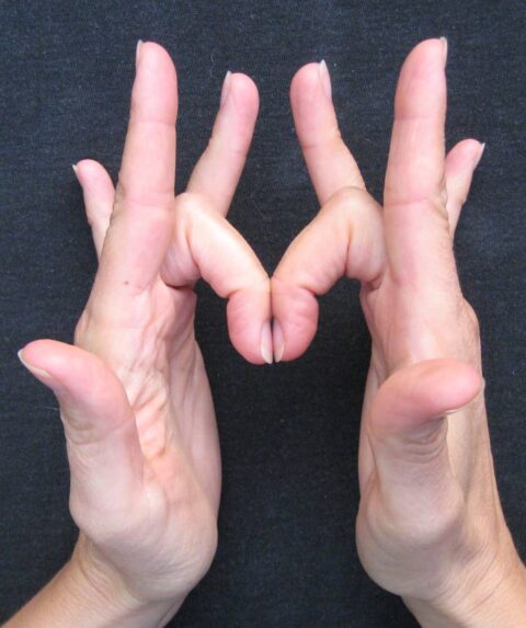 Dirgha Swara Mudra | Jennifer Reis Yoga