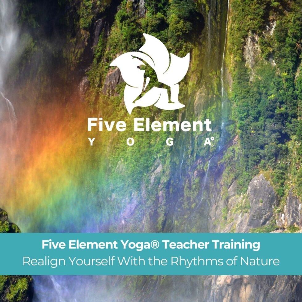 Five Element Yoga® Teacher Training | Jennifer Reis Yoga
